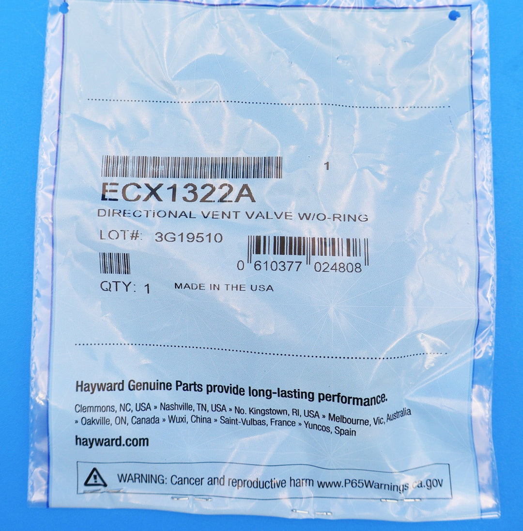 Hayward Threaded Directional Air Vent Valve with O-Ring for StarClear