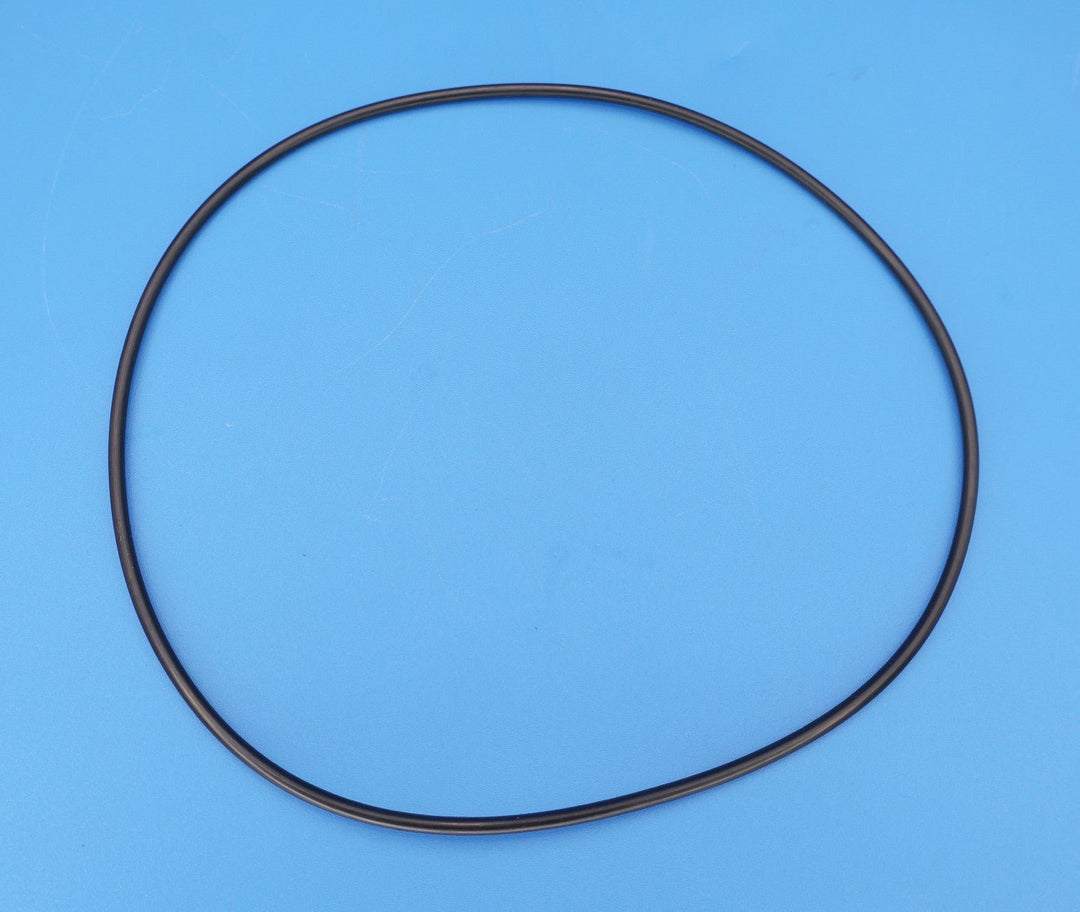 Caretaker (Jandy Zodiac) O-Ring (Single Large O-Ring Only) 1-13-1