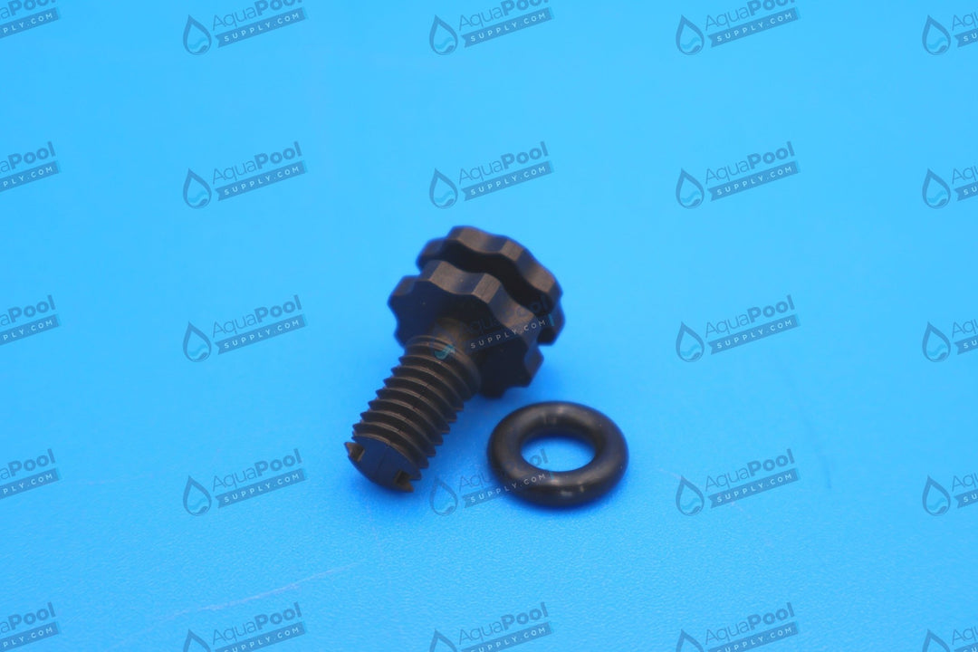 Hayward Threaded Directional Air Vent Valve with O-Ring for StarClear