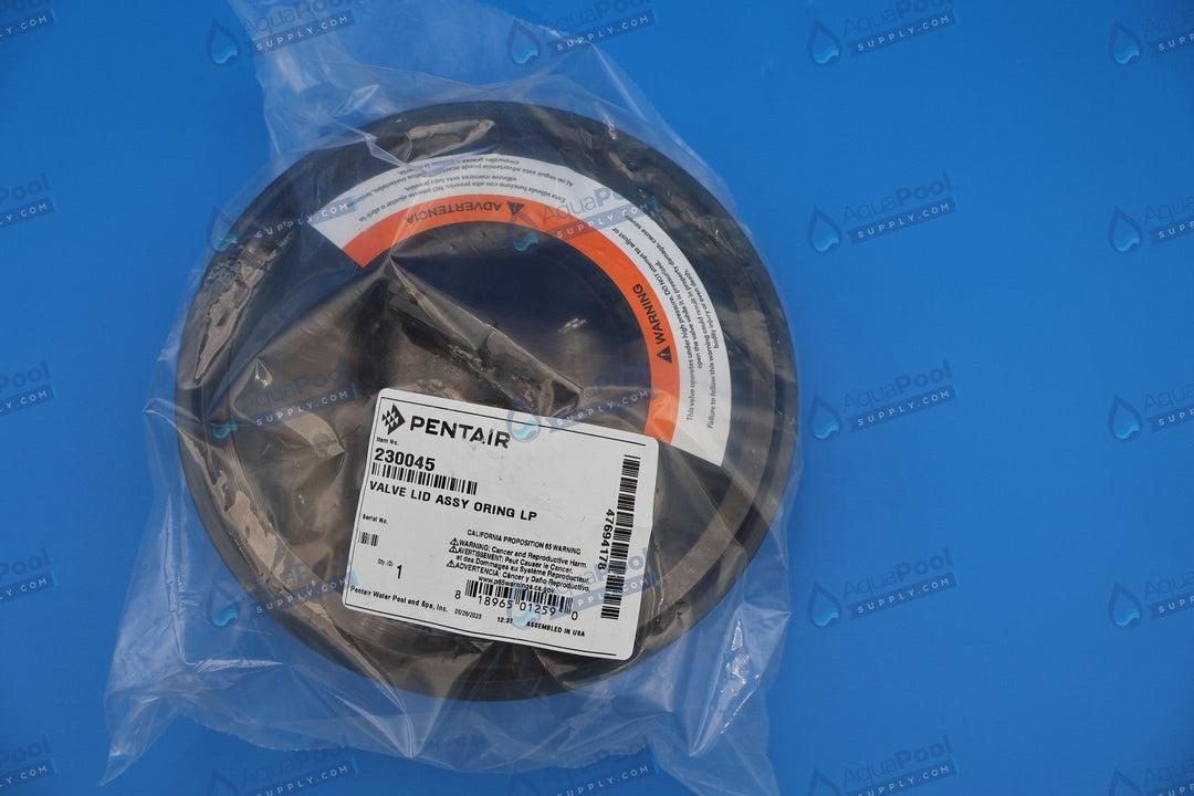 Low Profile T-Valve Lid Assy. Pentair In-Floor (A&A) 230045 524664