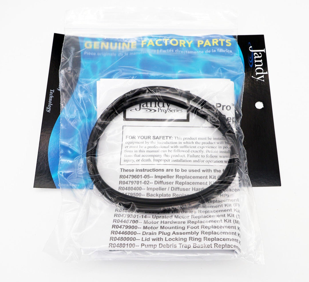Jandy FHPM & VS-FHP Backplate O-Ring R0480300