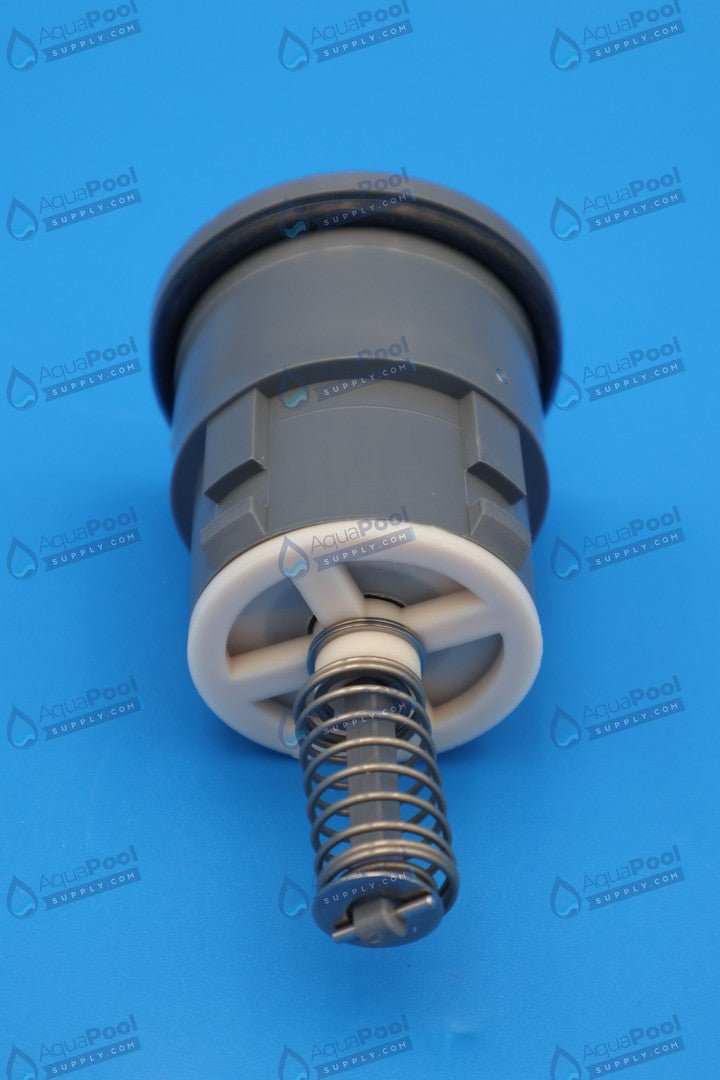 Pentair In-Floor (A&A) Style 2 Low Flow Pop-Up Head, Dark Gray 236243 ...