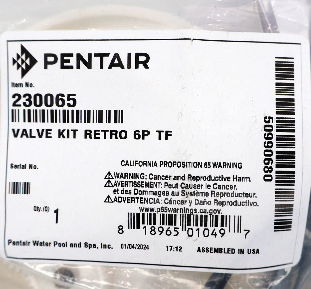 Pentair In-Floor (A&A) Top Feed Complete 6 Port T-Valve Retro-Fit Rebu