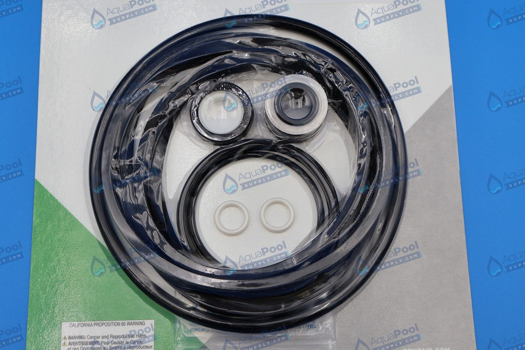 Pentair Pump Seal Kit for Challenger Pump 356199